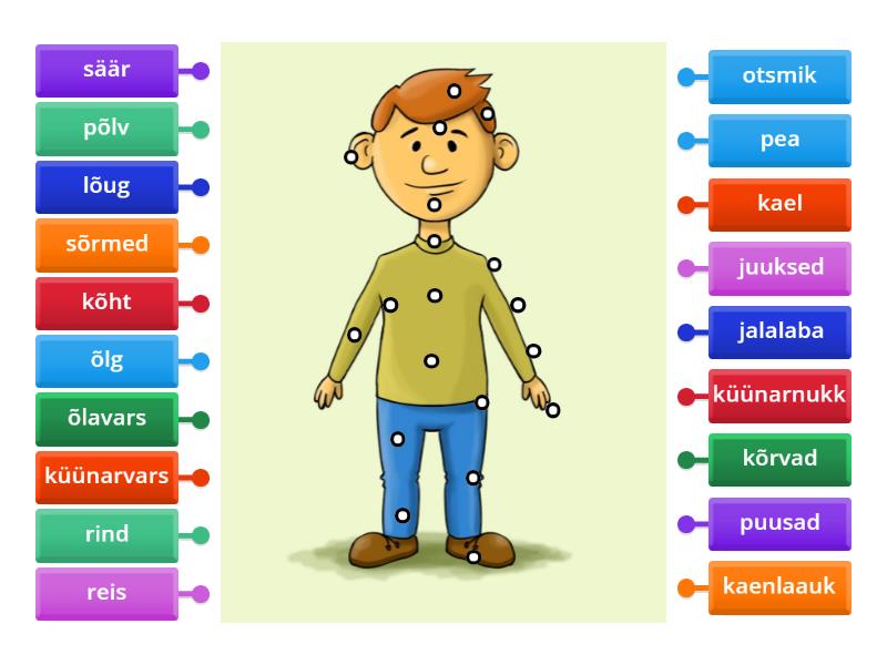 Inimese keha. - Labelled diagram