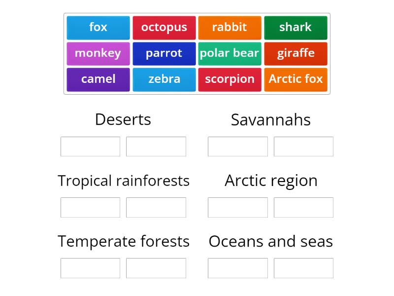 Classify these animals by their habitats. - Group sort
