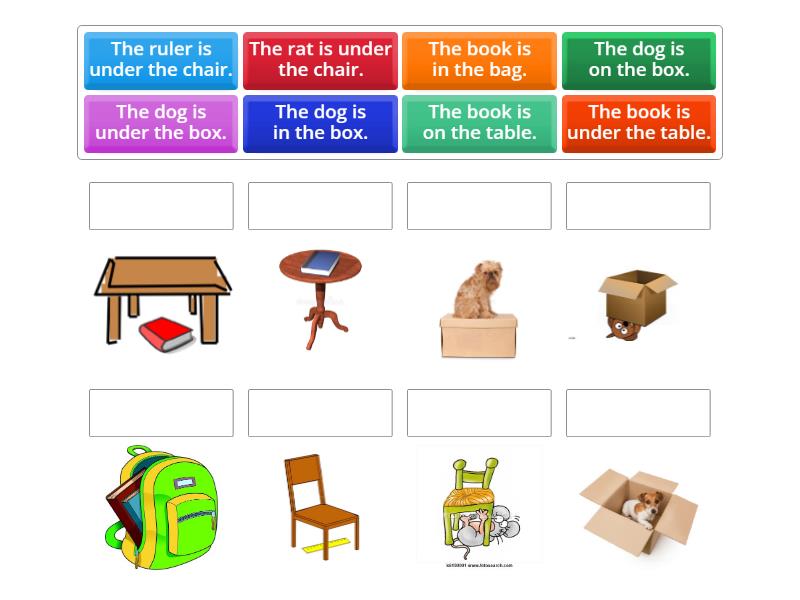 Year 1: Prepositions (in, on, under) - Match up