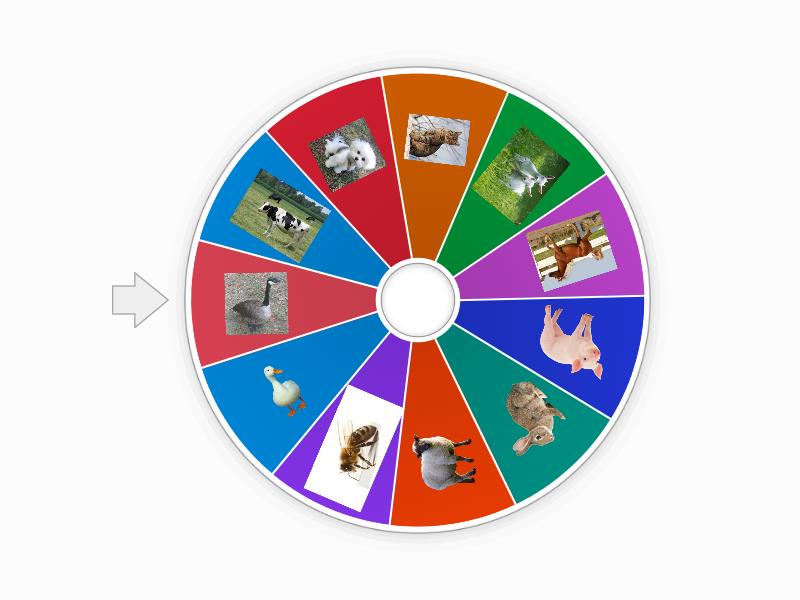 animals - Spin the wheel