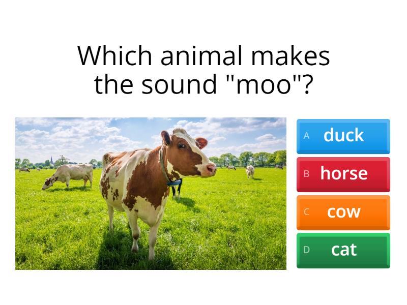 Farm animal sounds - Quiz