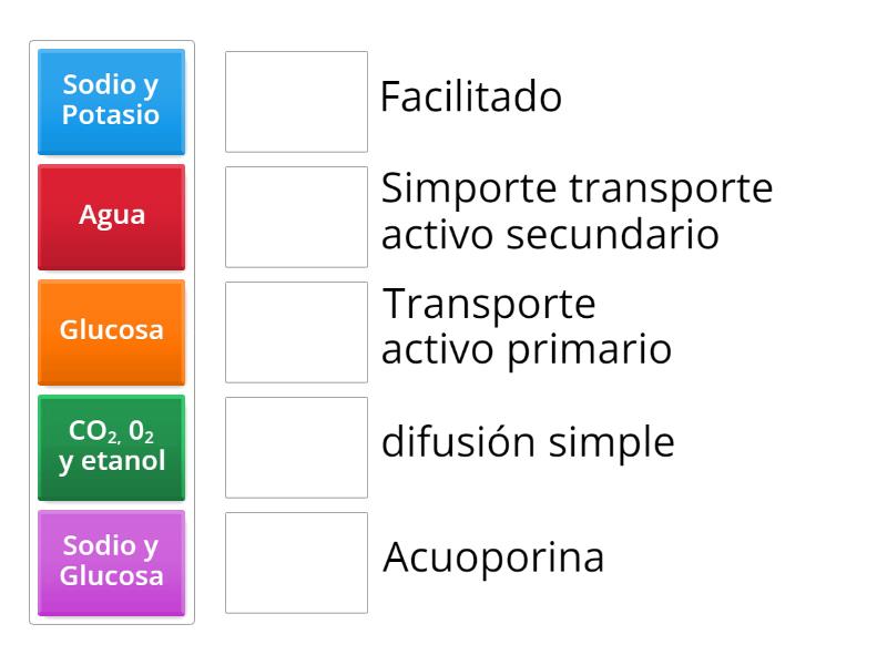 Asocie las moléculas con el respectivo tipo de transporte a través de ...