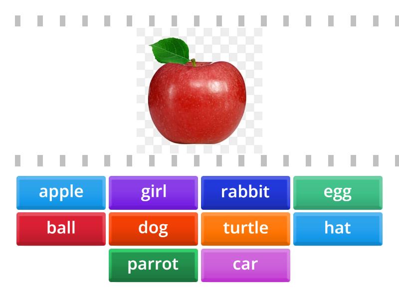 Connect the words with the pictures - Find the match
