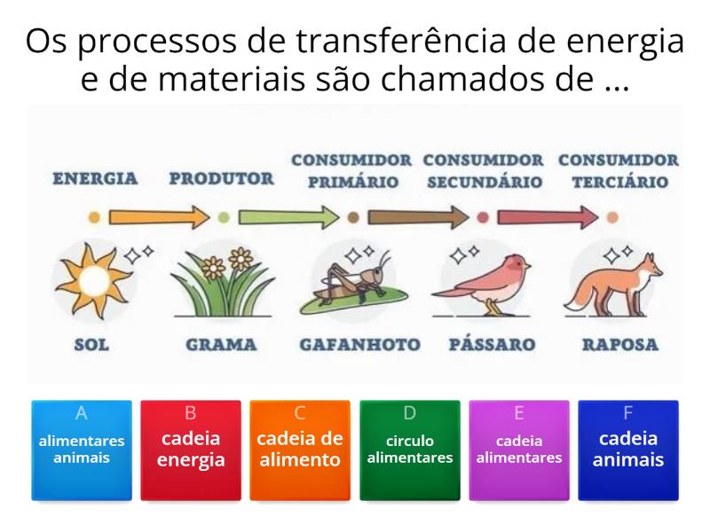 Cadeia Alimentar - Jasmim Soares Fischer - Cuestionario