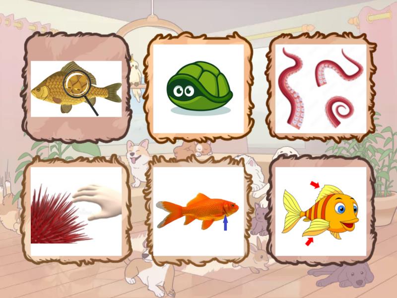 M2. Lesson 3. SEA ANIMALS BODY PARTS. - Flip tiles