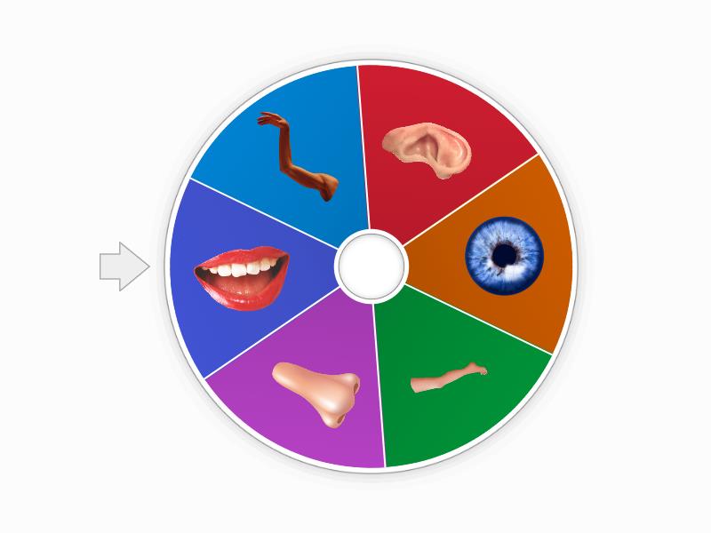 Body parts - Spin the wheel