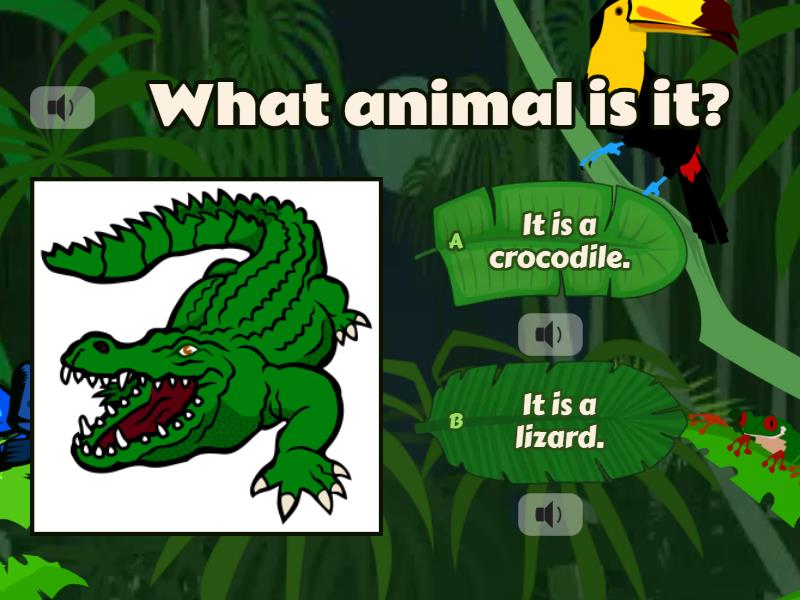 JUNGLE ANIMALS - Quiz