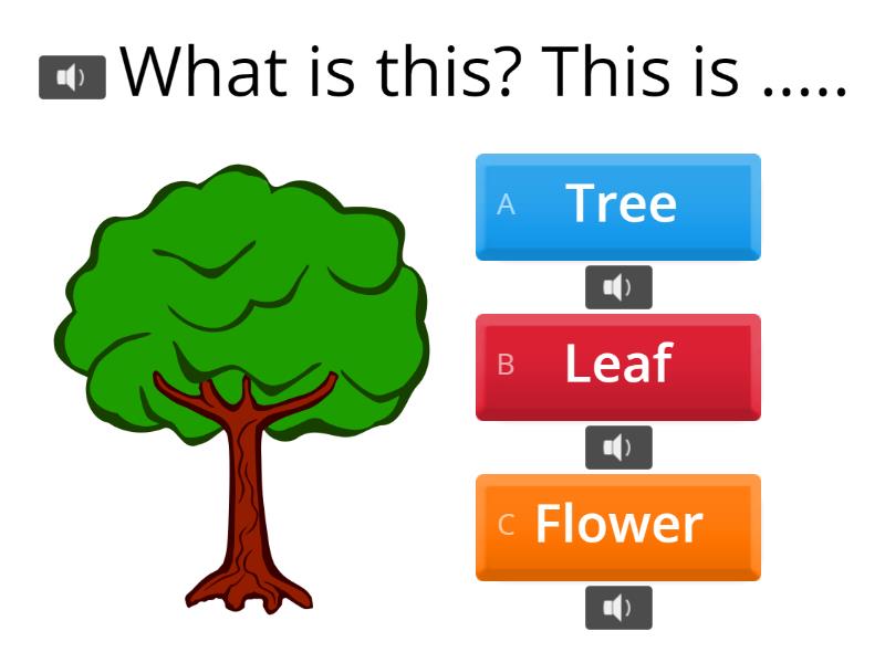 Tree - Quiz