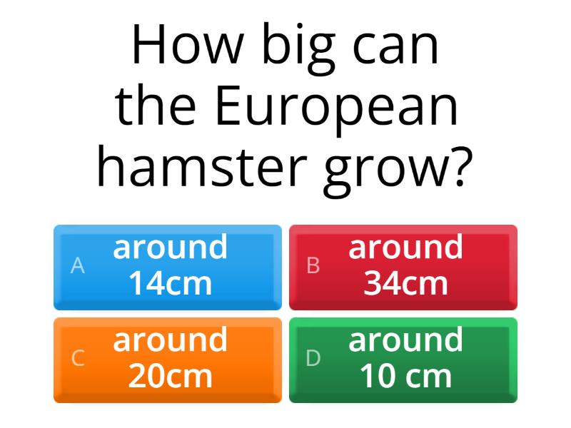 European hamsters - Quiz