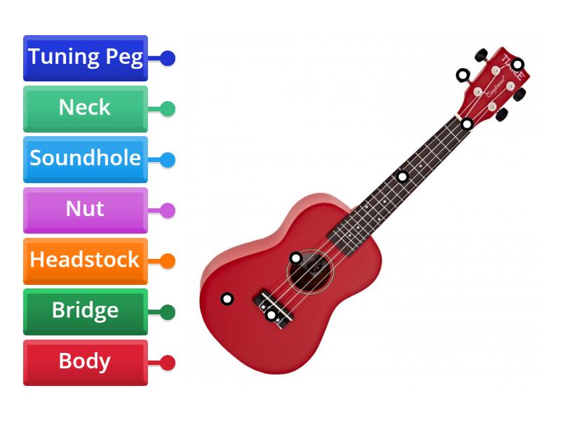 Ukulele Label - Labelled diagram
