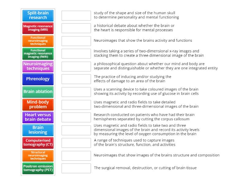 Approaches to understanding the brain definitions - Match up