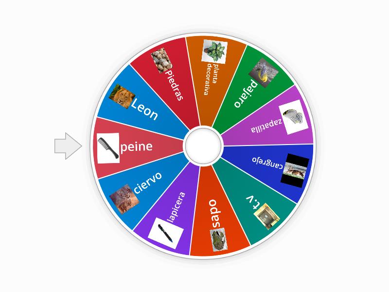 seres vivos y cosas inertes - Spin the wheel