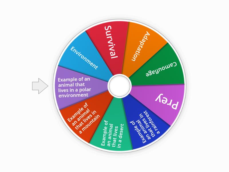 Animal Adaptations Revision: Explain the following terms - Spin the wheel