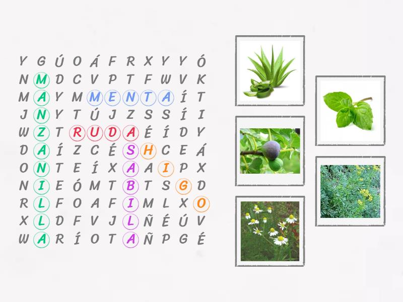 PLANTAS MEDICIANLES - Sopa de letras