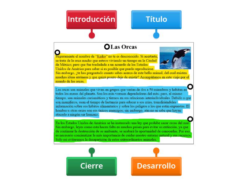 Partes del texto informativo - Labelled diagram