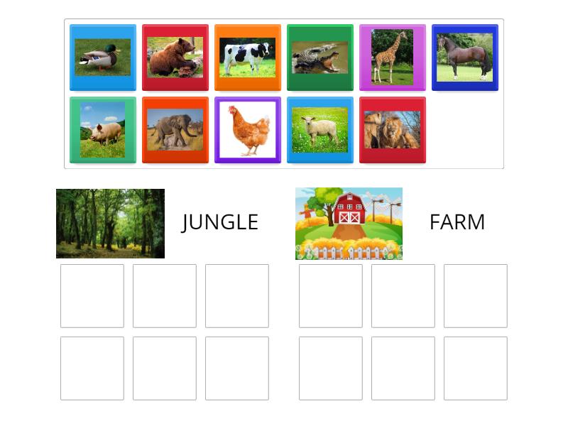 WILD ANIMALS AND FARM ANIMALS - Group sort