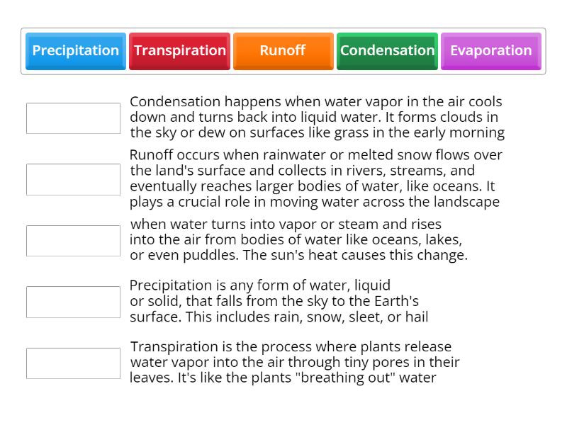 Water Cycle Review - Une las parejas