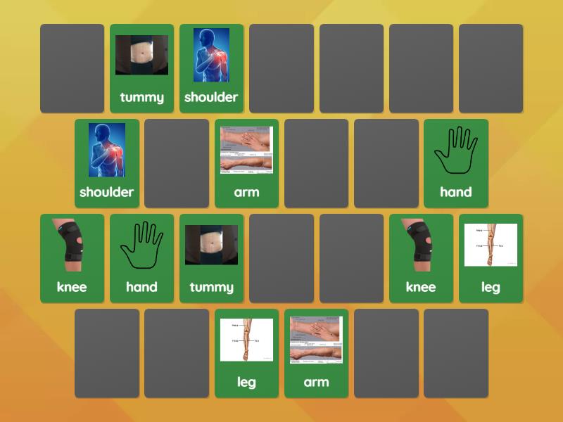 parts of the body parts 4 - Matching pairs