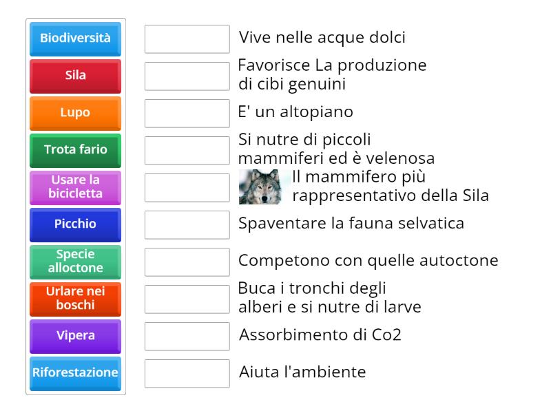 Questionario di scienze - Match up