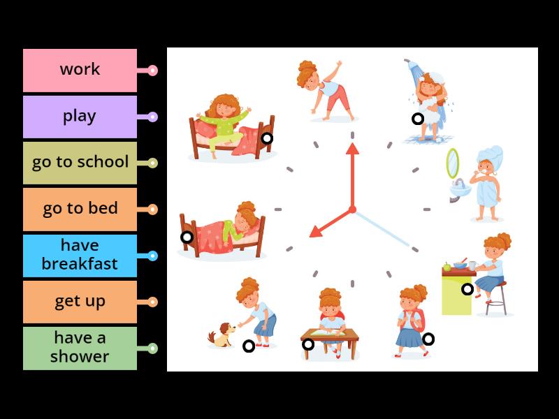 Everyday activities - Labelled diagram