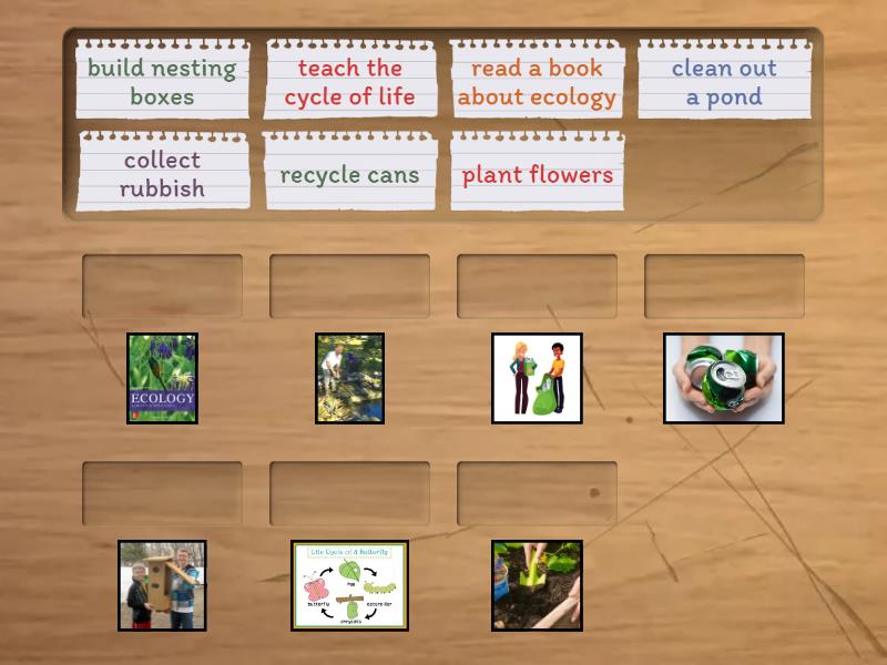 8. Eco-helpers 1 - Match up