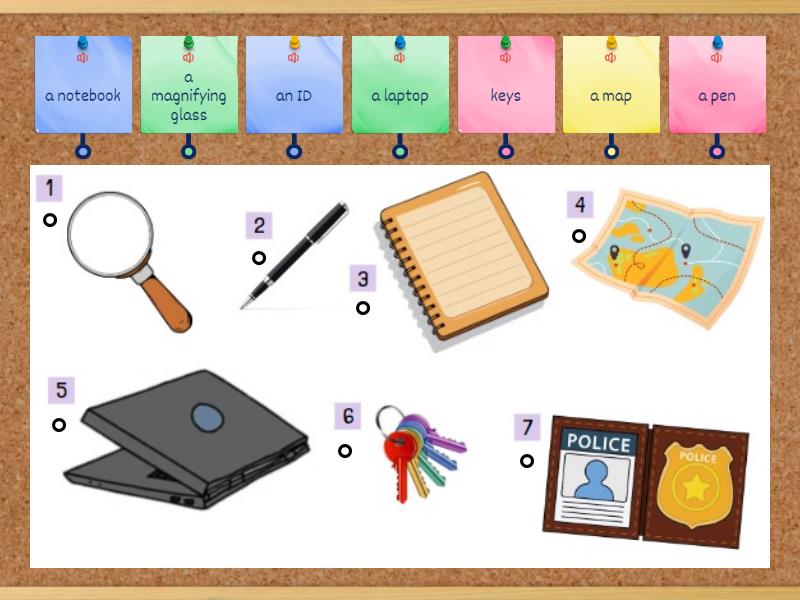 Detective's bag - Labelled diagram