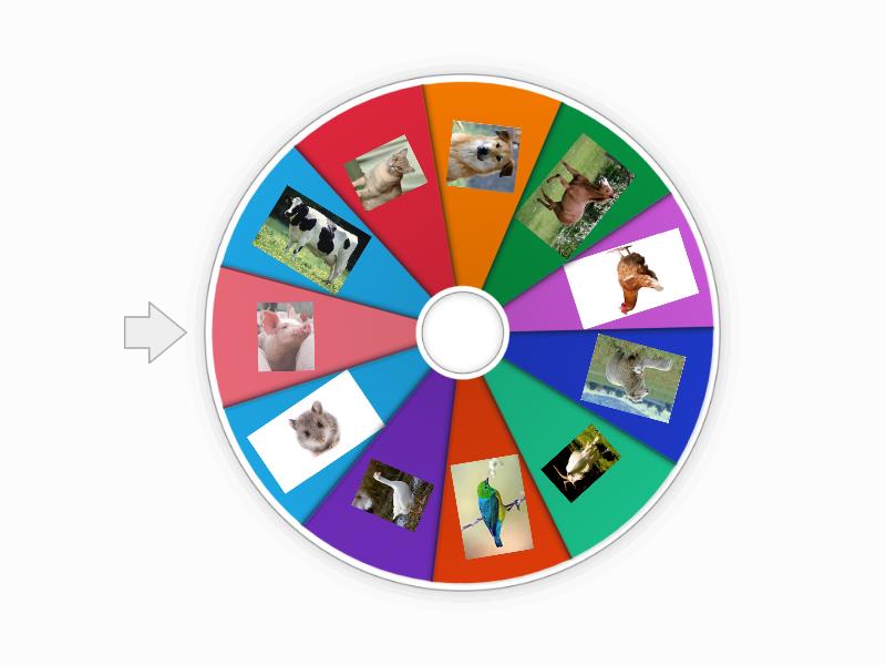 Animais da quinta roda da sorte - Random wheel