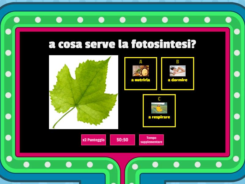 quiz scienze - Gameshow quiz