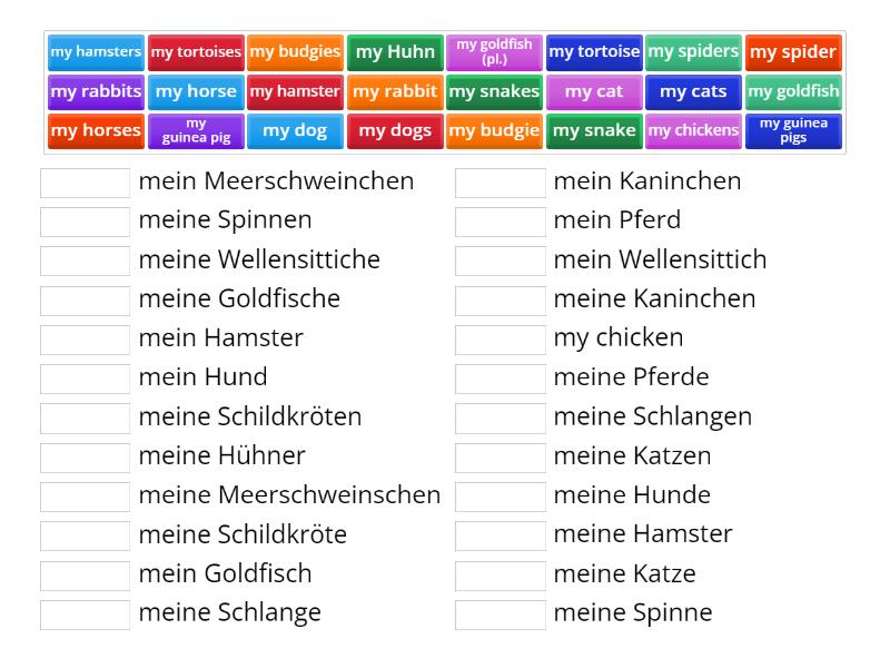 Haustiere - singular and plurals - Match up