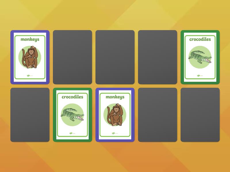 Animals Find Pair - Matching pairs