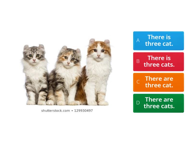 THERE IS/THERE ARE and Singular and plural NOUNS - Kuis
