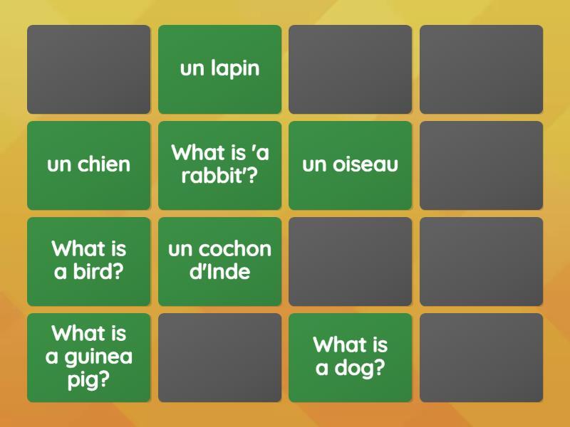 C'est quel animal? French pets memory match - Matching pairs