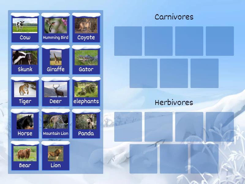 Herbivores vs Carnivores - Group sort