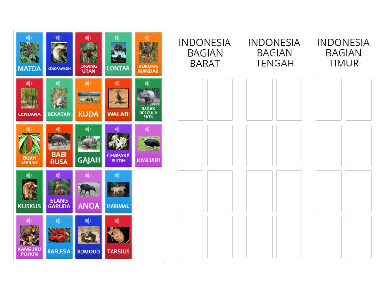 Ict Kelompok 6 FLORA DAN FAUNA DI INDONESIA - Group sort