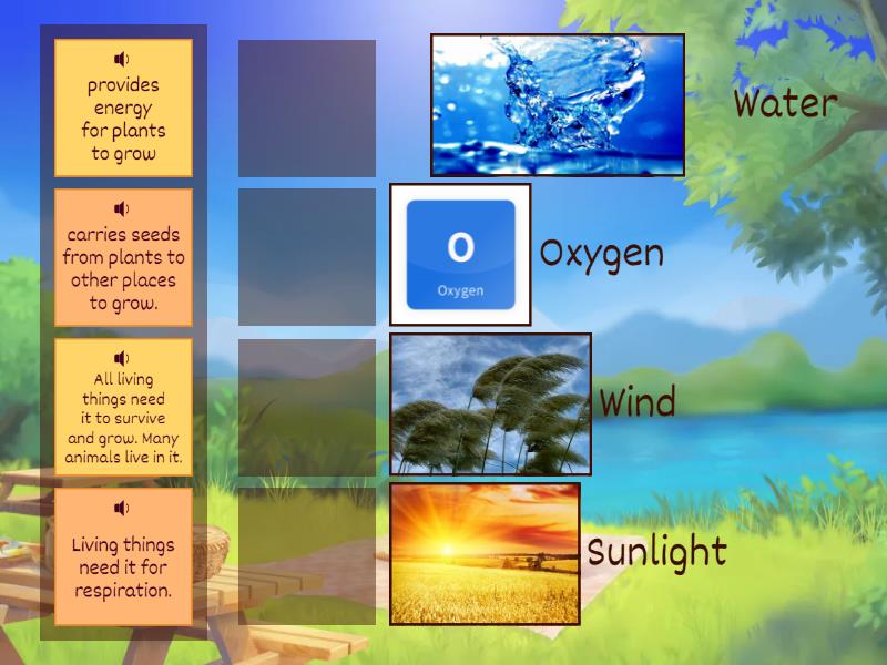 Interaction in an ecosystem - Match up