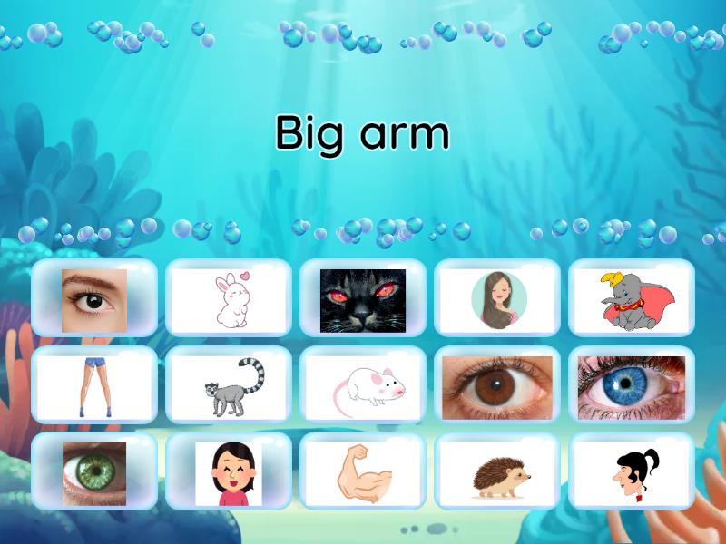 describing body - Find the match