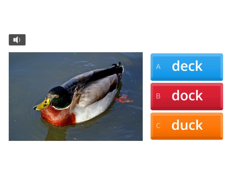 Phonics phase 2 CVC words beginning with /d/ (vowel focus) - Quiz