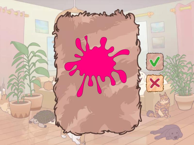 Starter -color - Flash cards