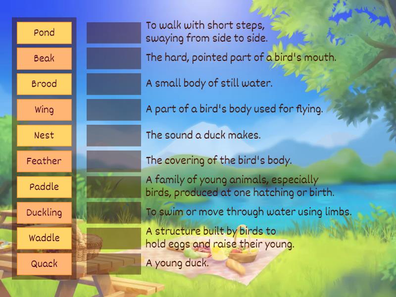 One Little Duck - Vocabulary - Match up