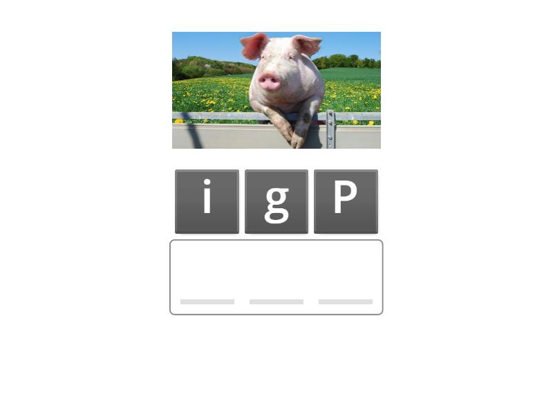 Copy of Animals, Pets & Ocean Animals - Anagrama