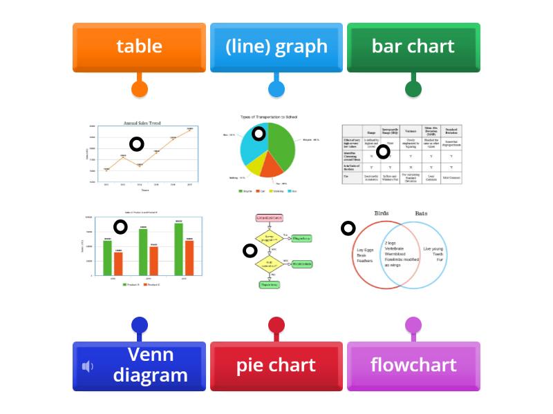 Popular Charts & Graphs - Labelled diagram