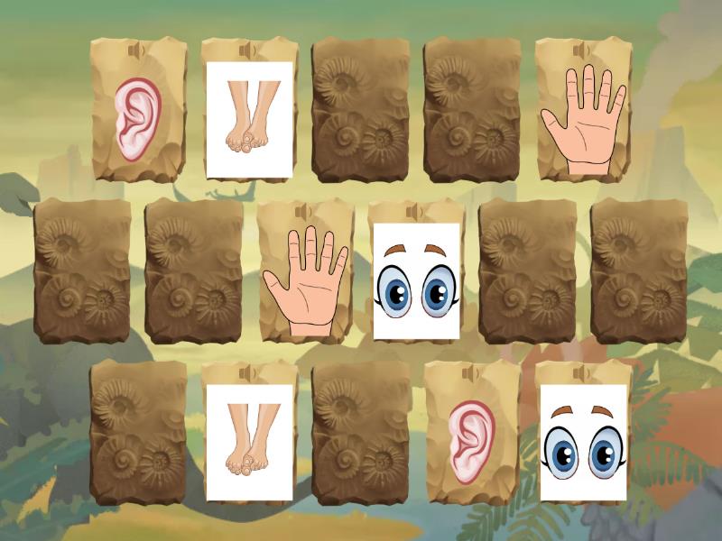 Body Parts matching game - Matching pairs