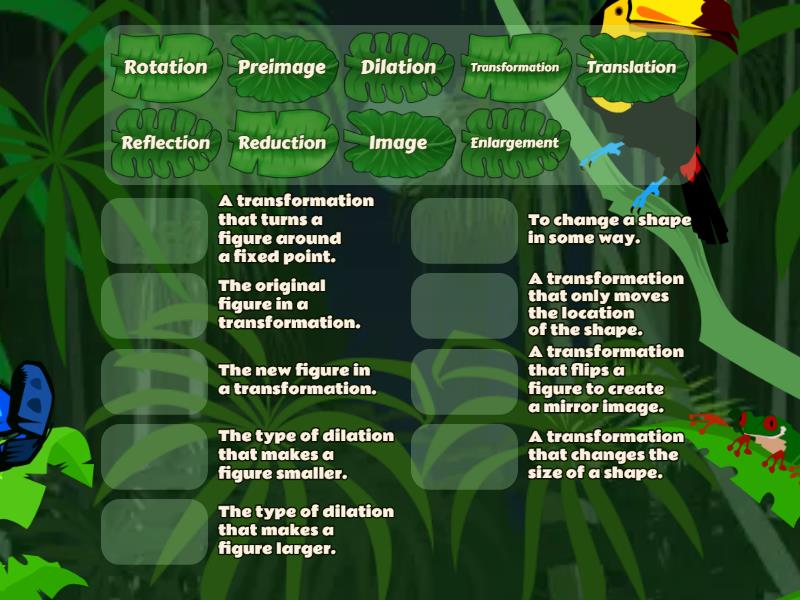 Transformations Vocabulary Competition - Match up
