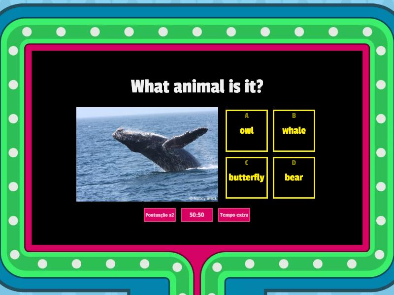 The animals - 7th grade - Concurso de preguntas