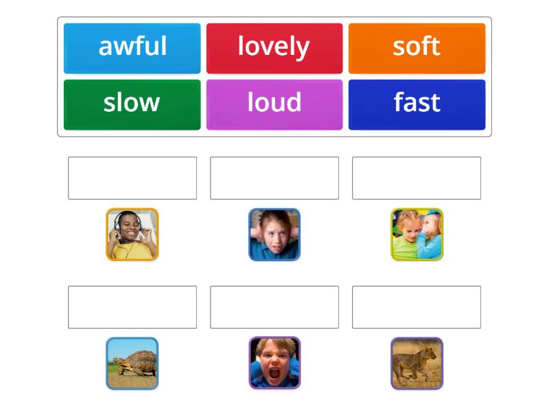 Ghép từ - Match up