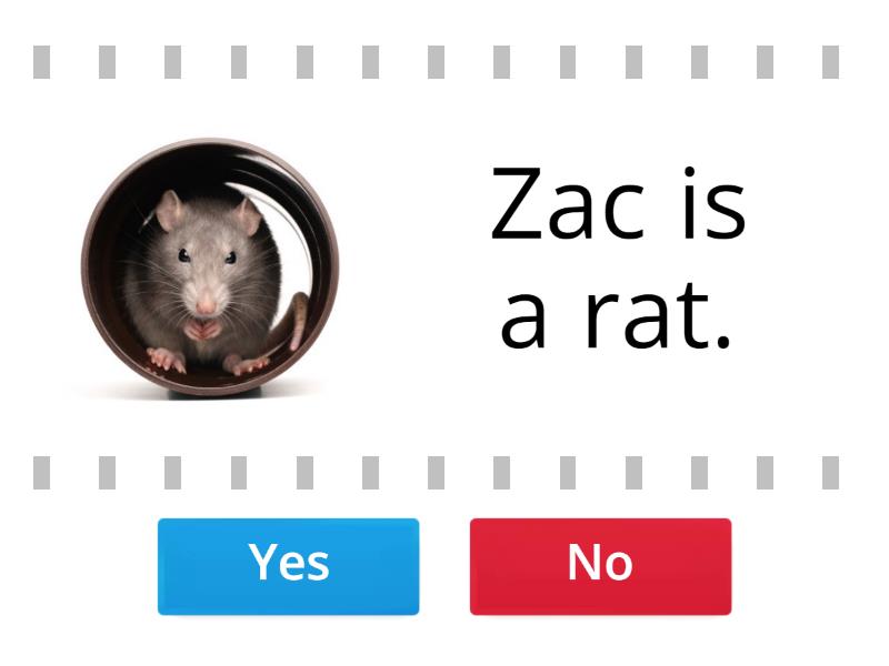 Zac the Rat 2 - True or false