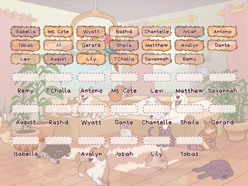 Name Match - Match up