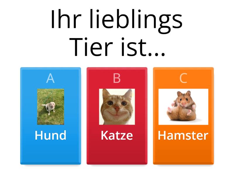 Wie gut kennst du deine Lehrerin? - Cuestionario Wie gut kennst du deine Lehrerin? - Cuestionario