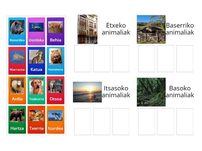 Animaliak - Group sort