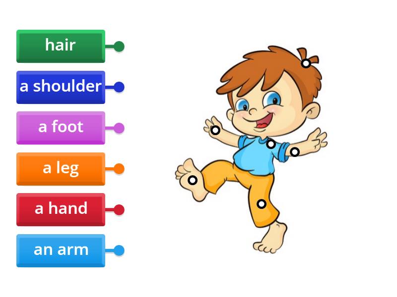 P1 Unit 4 - Body Parts [Part 2] - Labelled diagram